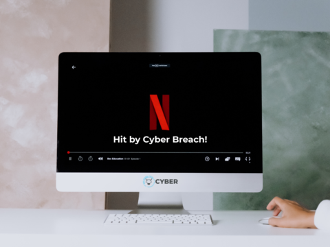 Netflix’s Cybersecurity Breach: What You Need to Know | OxCyber