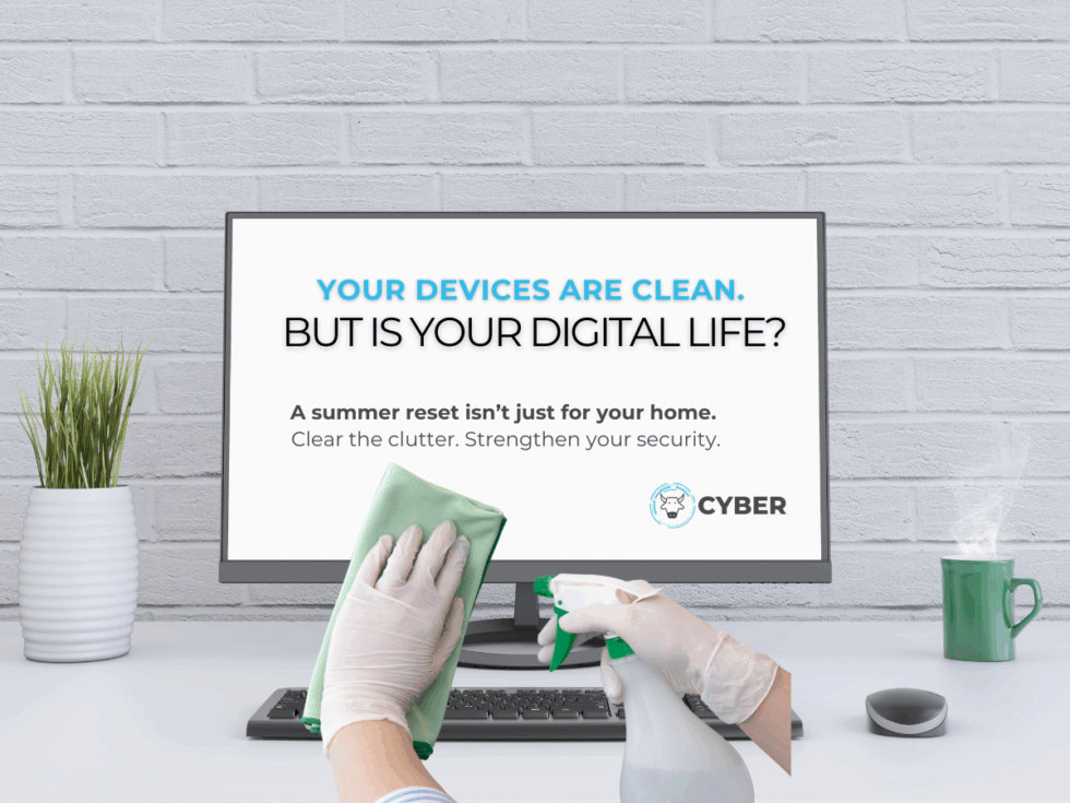 Summer Cyber Clean-Up: Why Now Is the Perfect Time to Reset Your ...